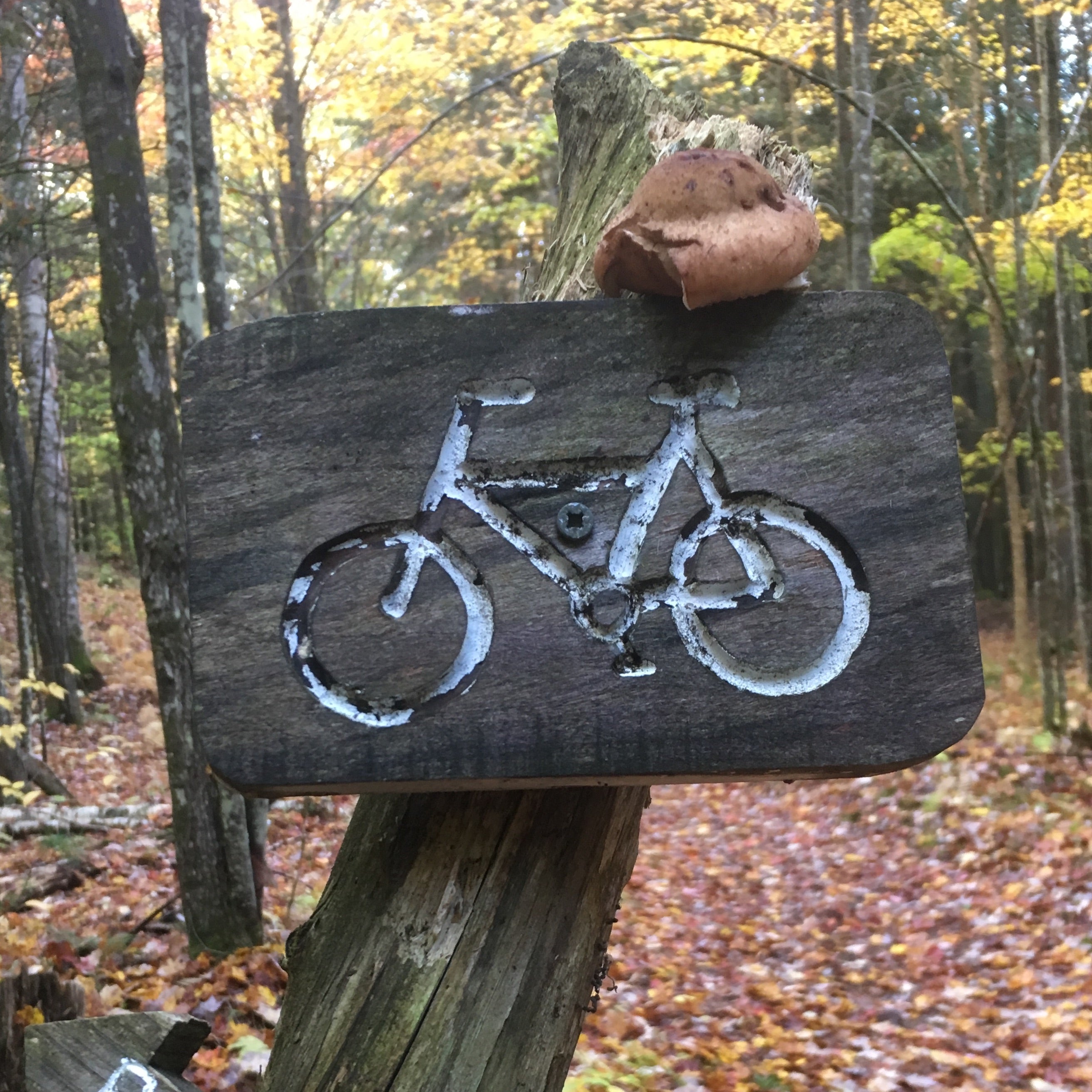 Montpelier Parks - Onion River Outdoors